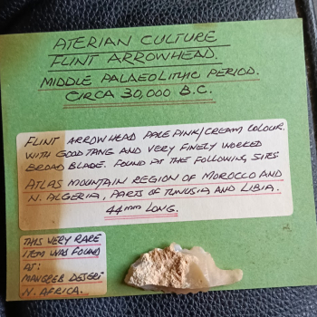 Jackboot – Just another WordPress site